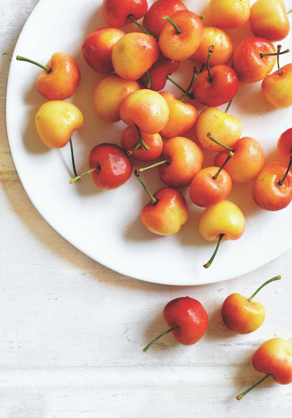 Sydney Markets - Summer