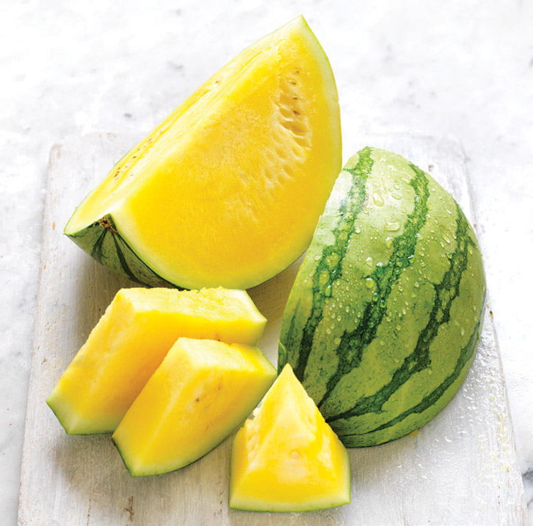 Sydney Markets - Summer