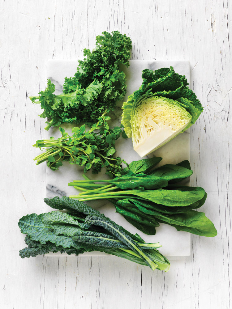 Sydney Markets - Autumn